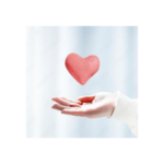 d-mobile のご案内 | JCN株式会社